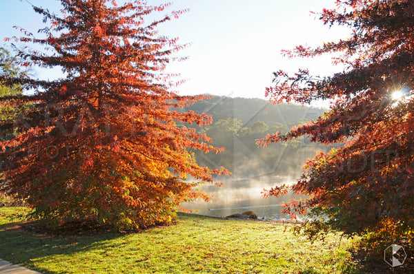 Lake Alexandra, Southern Highlands, NSW (AB042R) - Kramer Photography