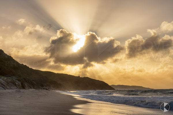 Martha Lavinia, King Island (KI583R) - Kramer Photography